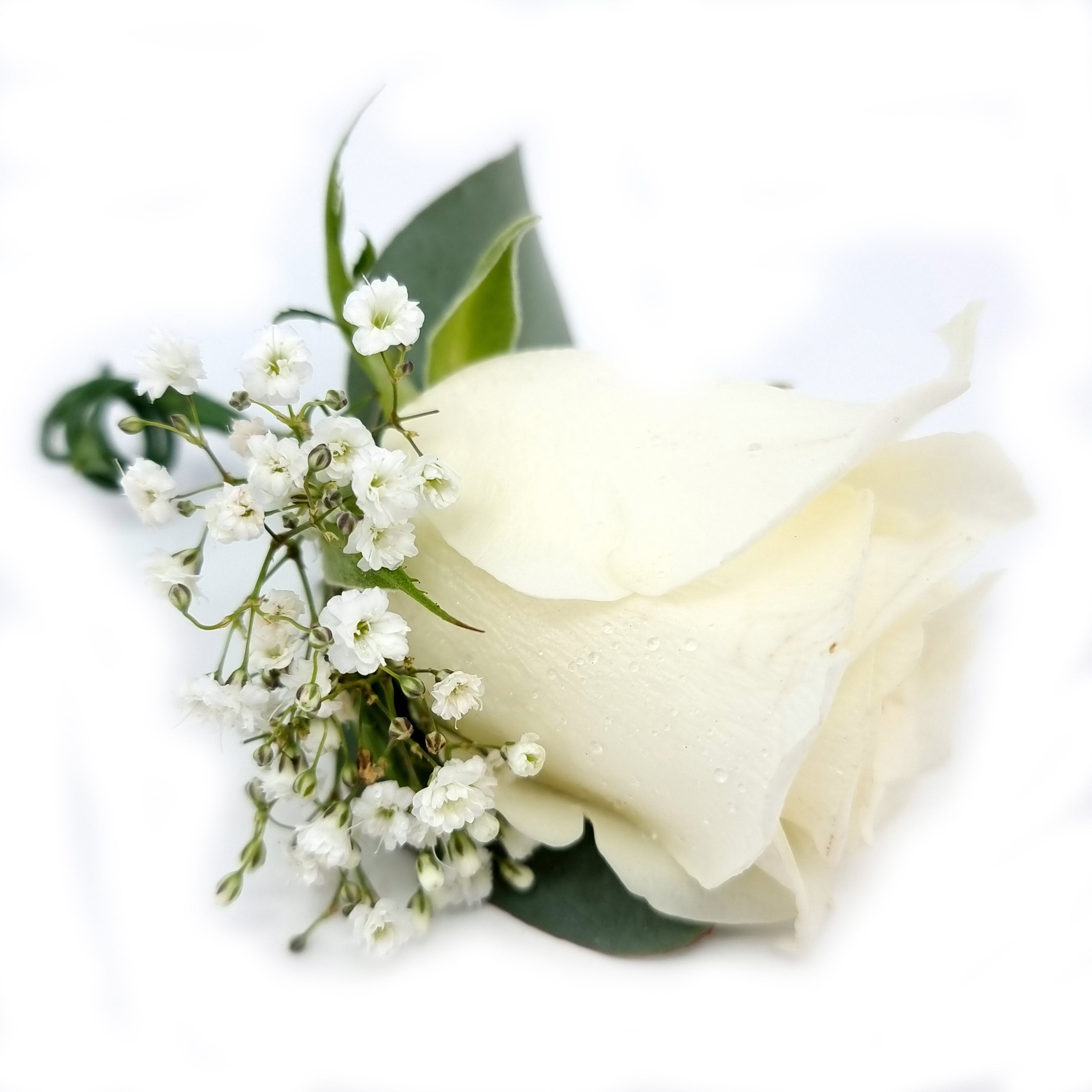 Wedding Buttonhole Flower White Roses – ASPEN FLORA
